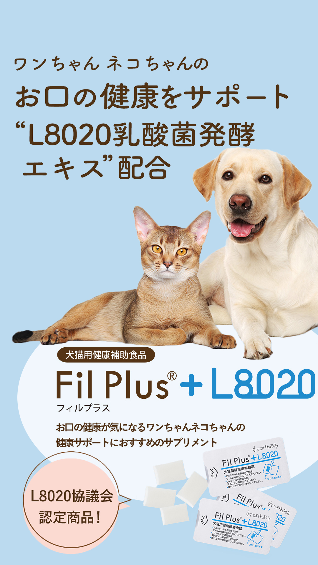ネコちゃんのお口の健康をサポート！Fil Plus®+L8020（フィルプラス）の無料モニターを募集します！ | 猫王国 - 猫ちゃんとの思い出の共有スペース