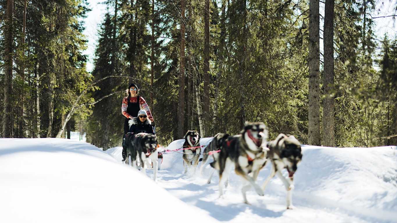 Levi Finnland Willkommen In Lappland levi-finnland-willkommen-in-lappland