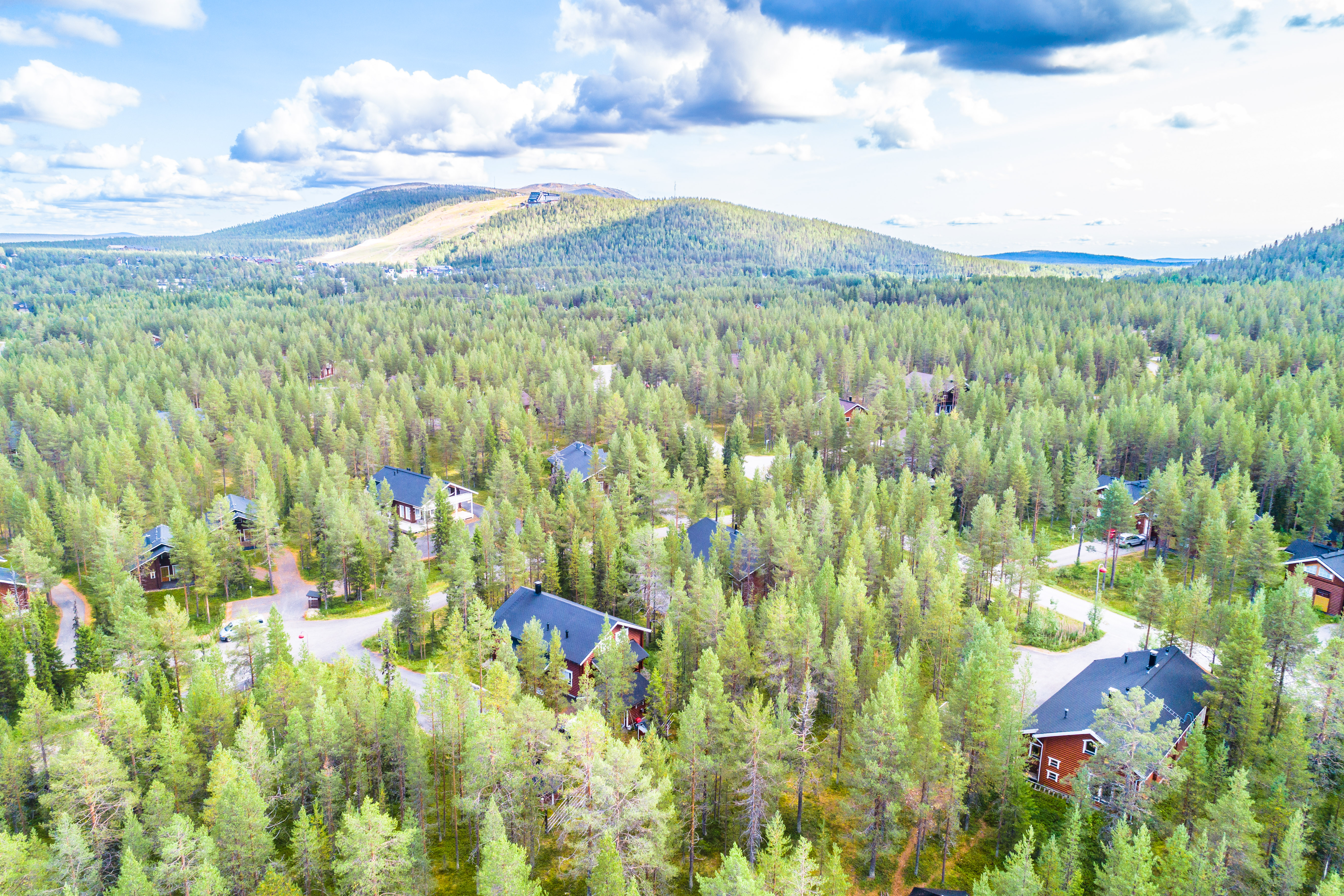 Useful Levi Information