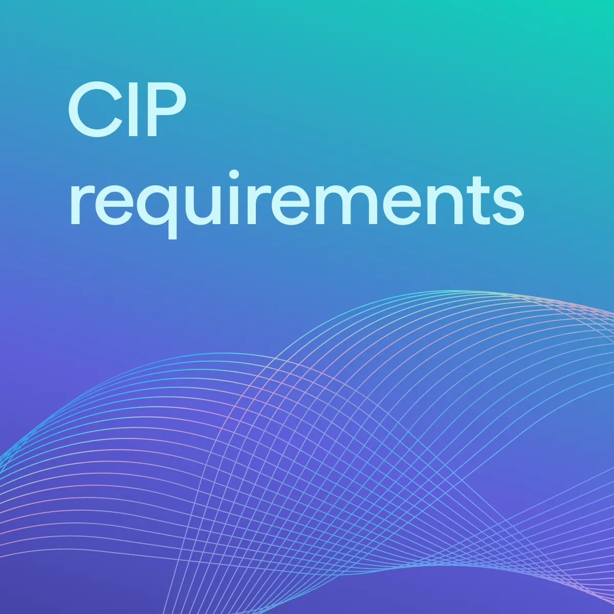 CIP requirements: How to improve fintech compliance | Plaid
