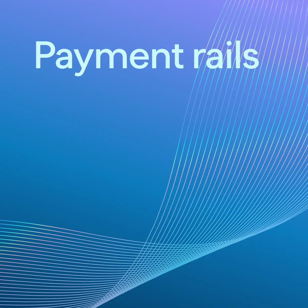 What are payment rails and how are they evolving? | Plaid