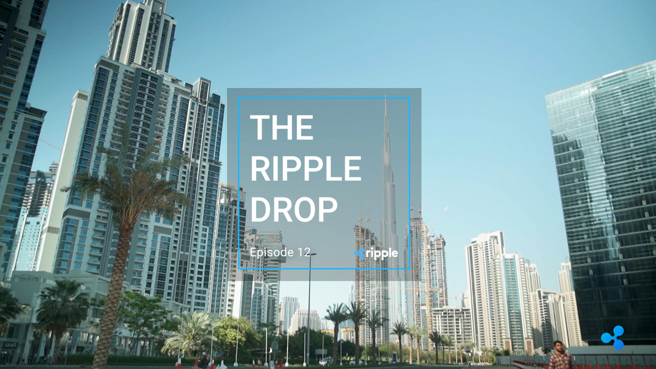 The Ripple Drop – Episode 12 | Ripple