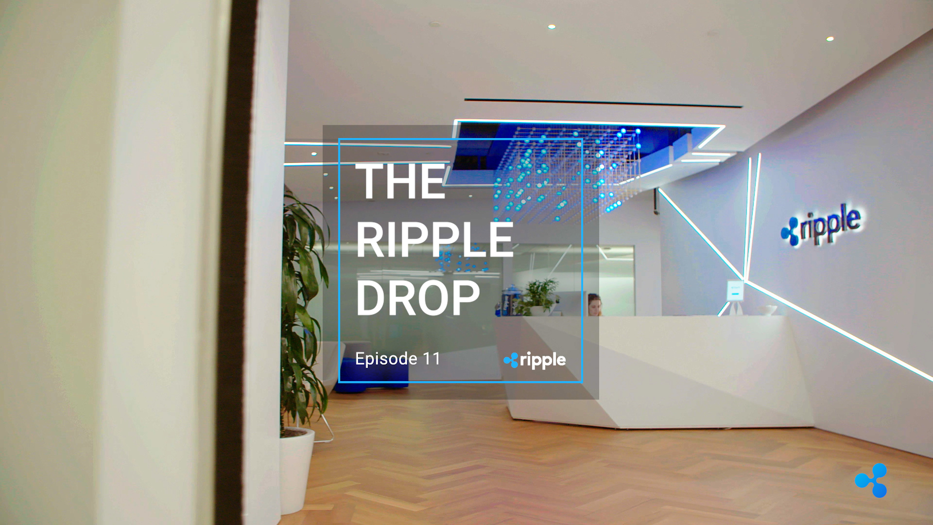 The Ripple Drop – Episode 11 | Ripple