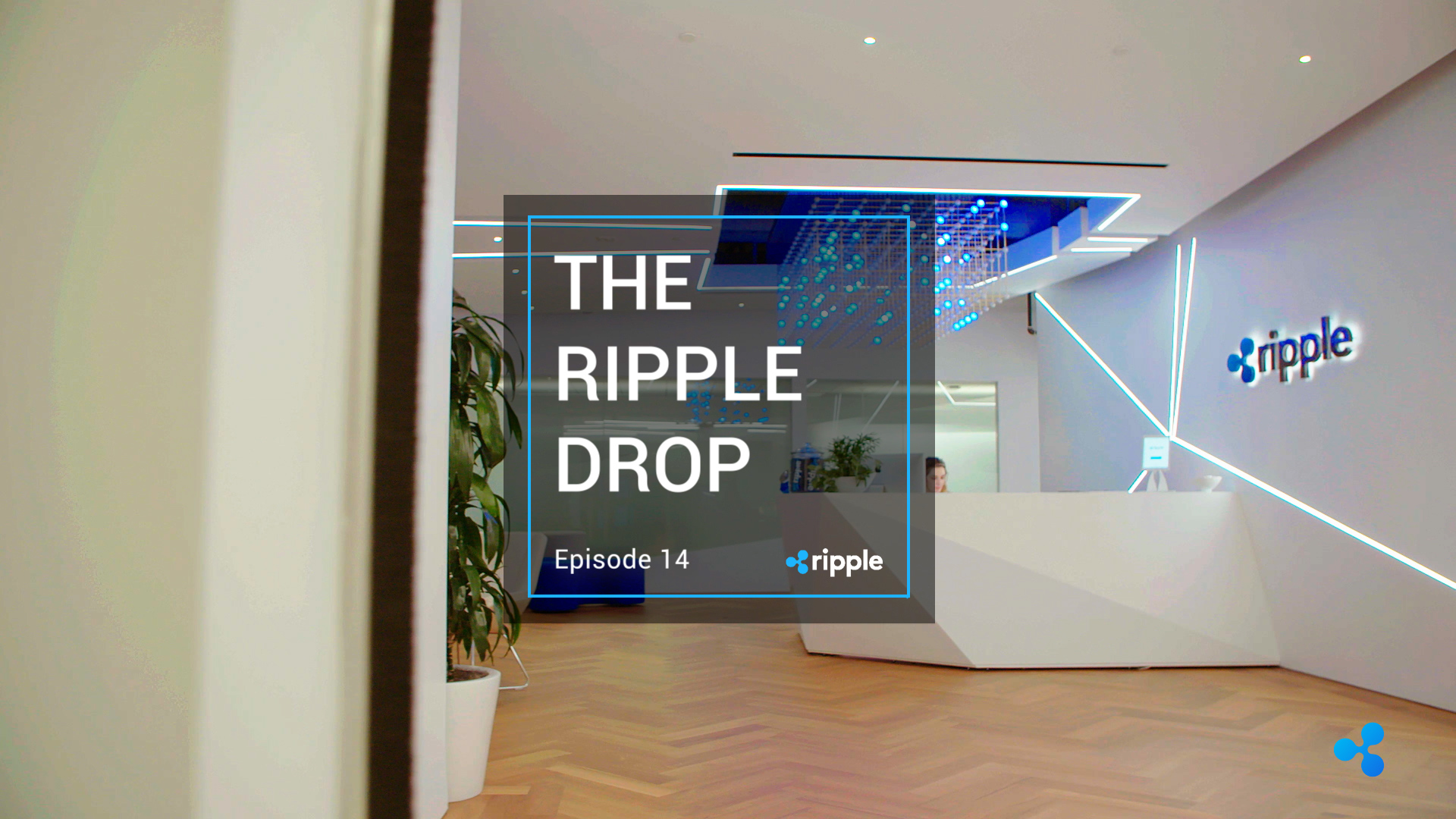 The Ripple Drop - Episode 14 | Ripple