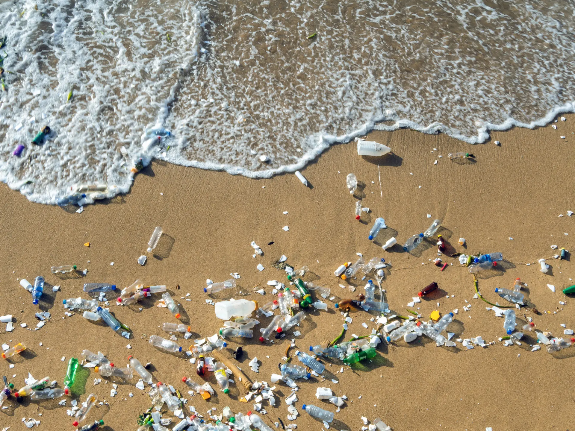 How can there be more plastic than fish in the sea? - Teamspirit