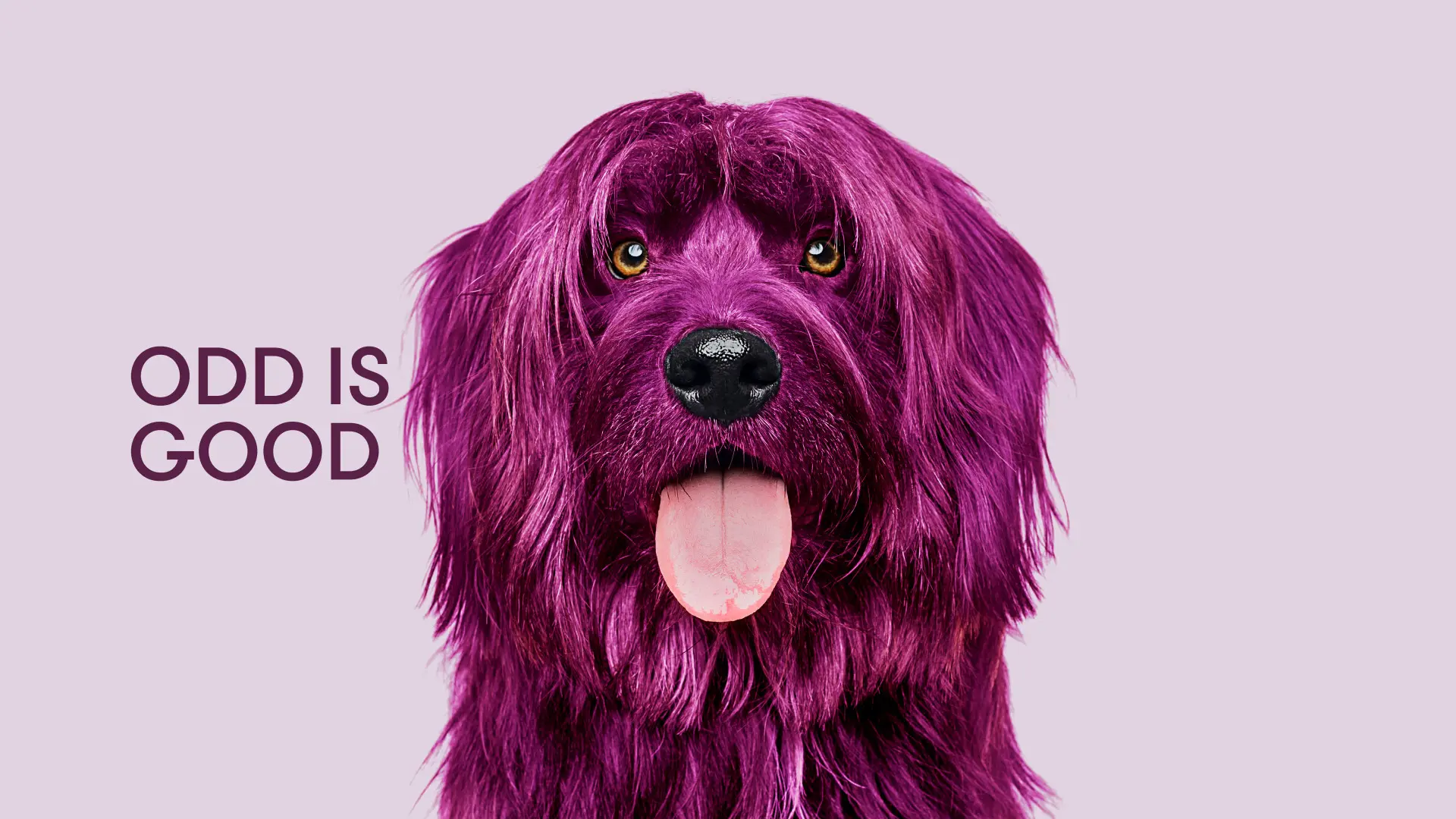 Odd is Good - Teamspirit