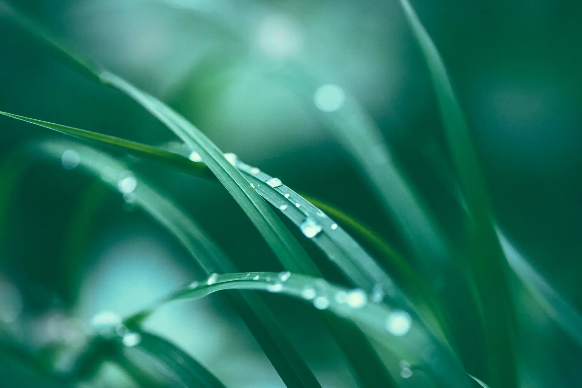 Stand and deliver. The ESG Activists Podcast Series: Episode 3 - Teamspirit