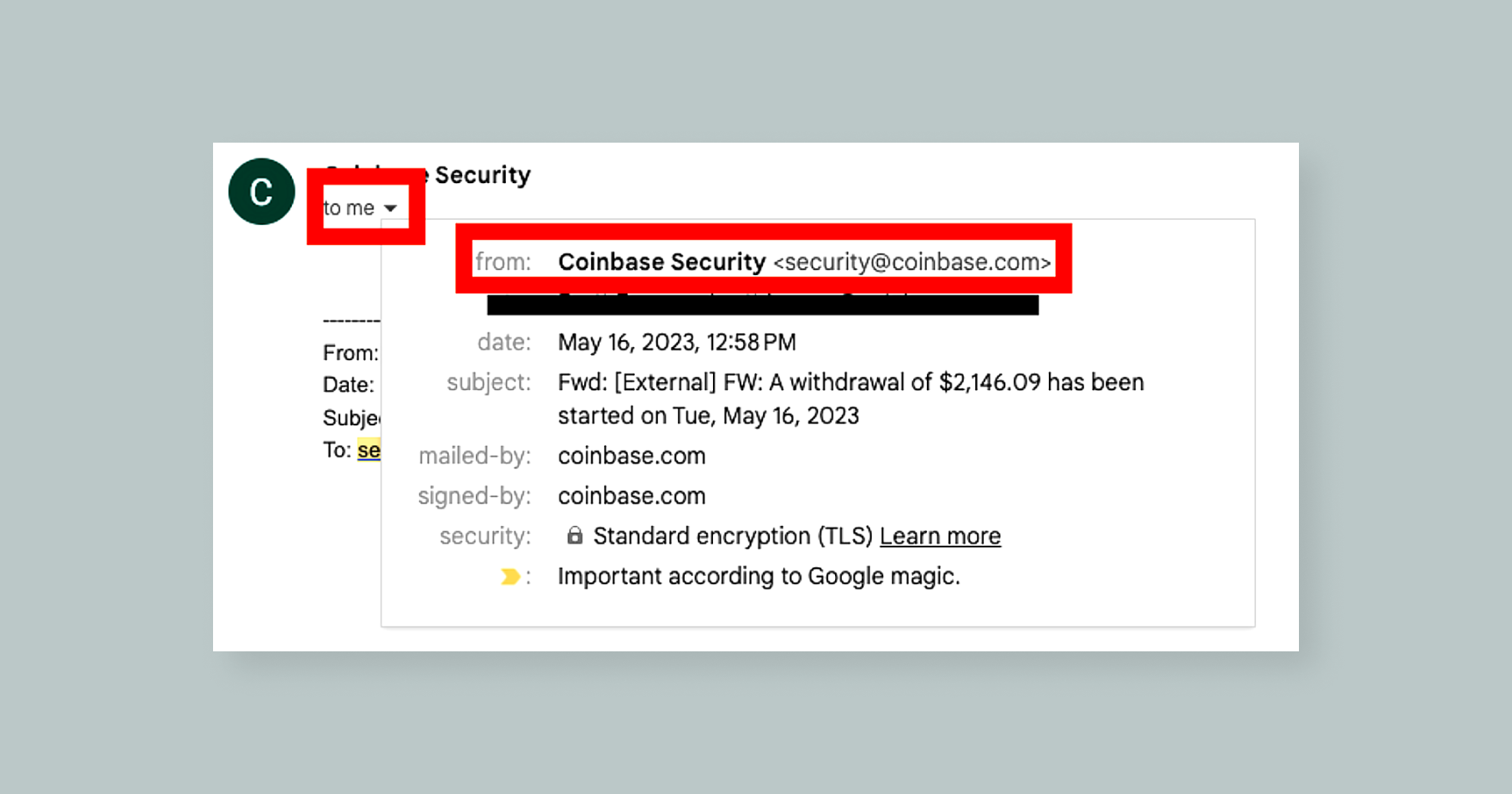 Go Phish: A step-by-step guide to spotting phishing emails