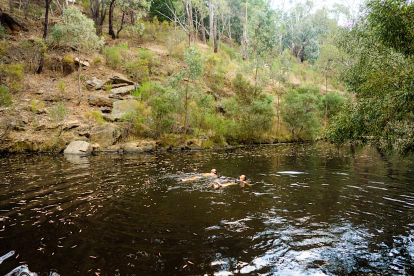 10 Best Things To Do in Daylesford with Kids in 2023