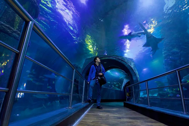 Melbourne Attractions Keypass - Get 25% off tickets to Melbourne ...