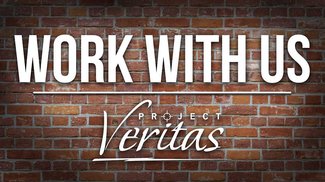 Work With Us | Project Veritas