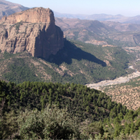 Explore the Tamga Natural Reserve | All you need to know