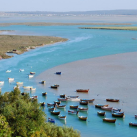Merja Zerga : Une réserve naturelle entre terre et mer