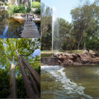 La forêt Ibn Sina : Une bulle rafraichissante au cœur de Rabat