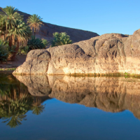 Explore the Tranquil Fint Oasis in Ouarzazate