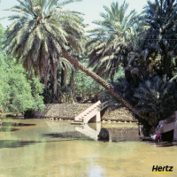 Sidi Yahya Oasis: A hidden gem in the Moroccan desert