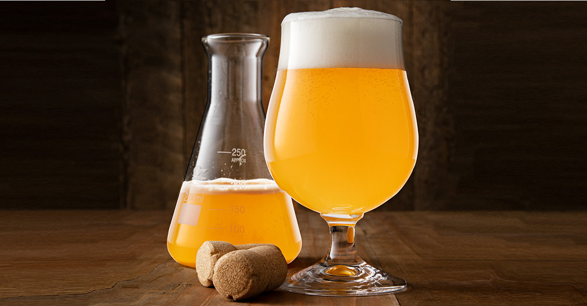 Mixing It Up: Complex Fermentations, Made Simpler | Craft Beer & Brewing