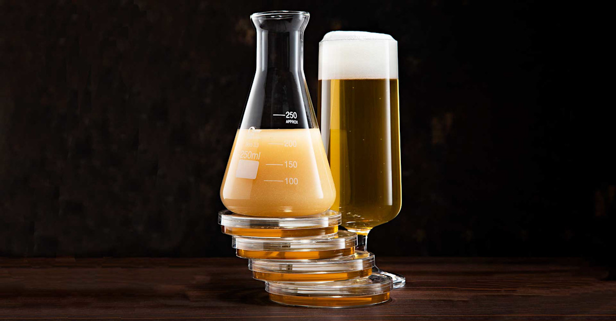 Cold, Healthy & Crowded: Lager Fermentation, Simplified | Craft Beer ...