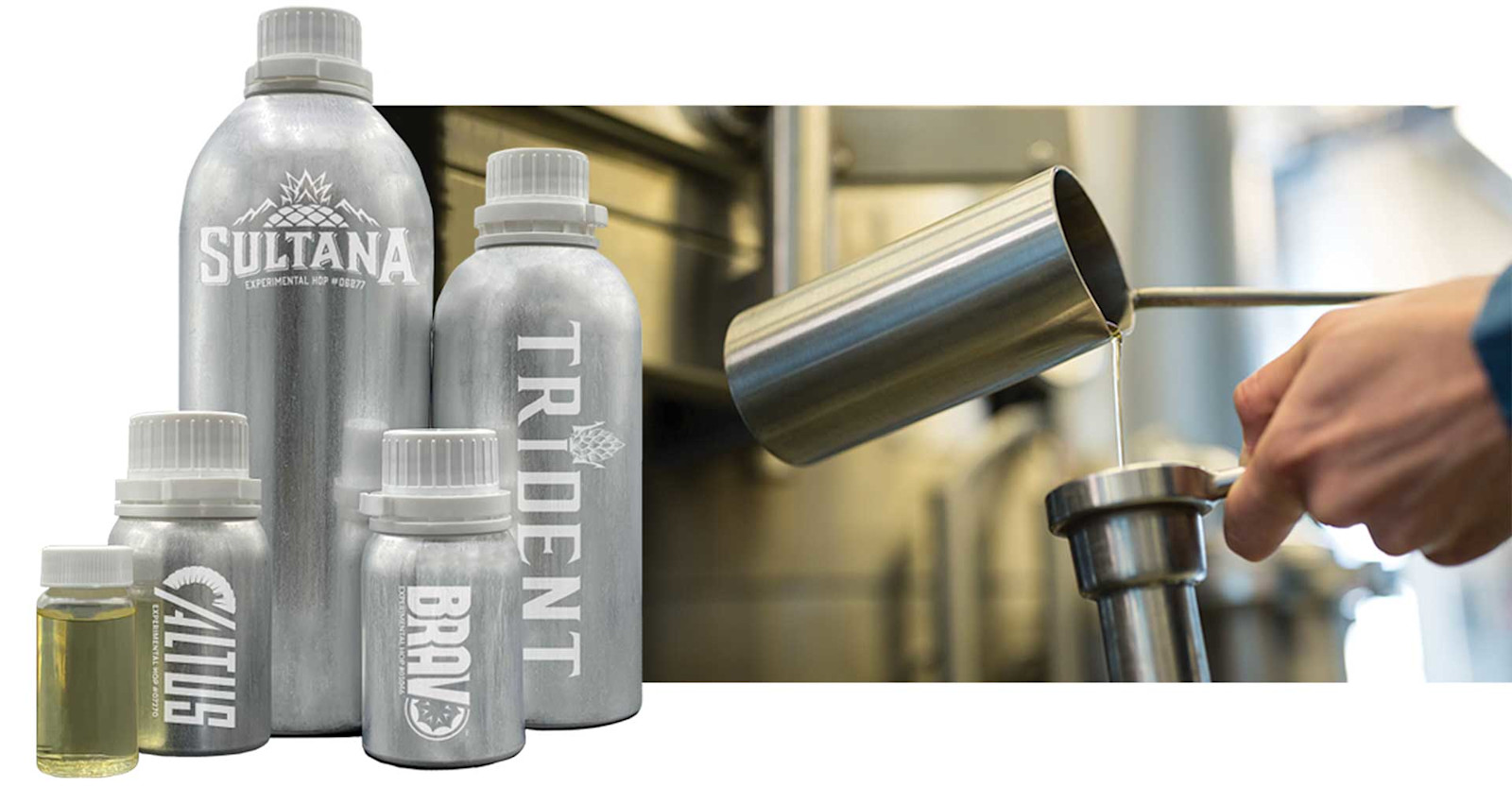 Hop Oils: Innovated for Beer—and Beyond | Craft Beer & Brewing