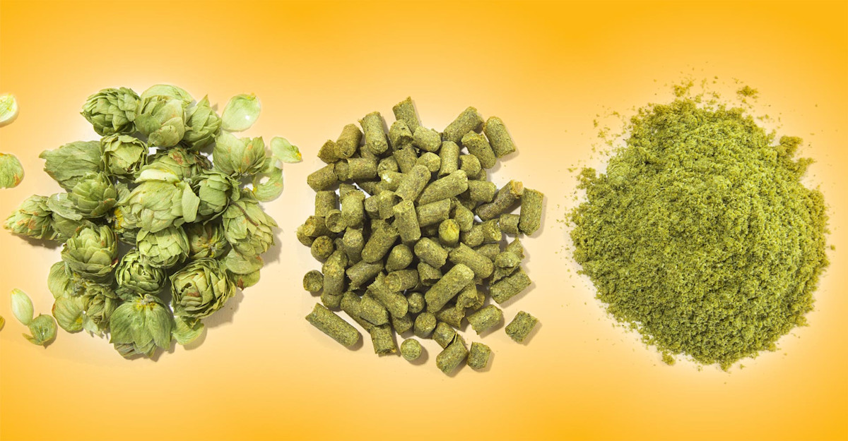 Understanding Bitterness | Craft Beer & Brewing