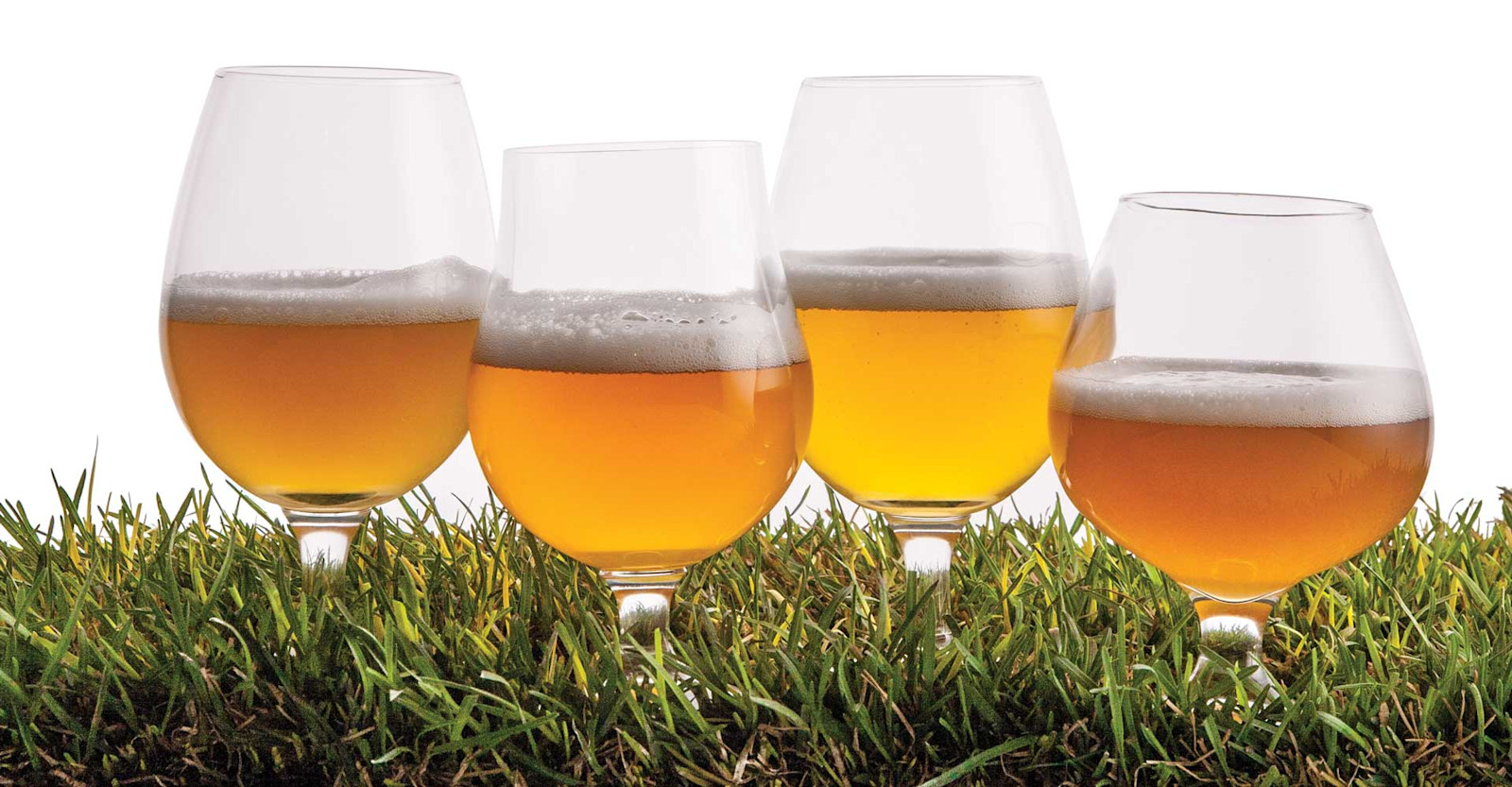 The Classic Saison Recipe | Craft Beer & Brewing