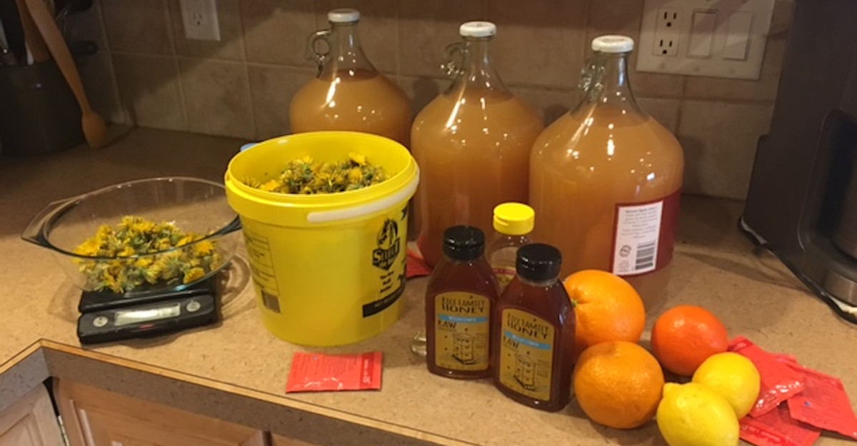 Dandelion Cyser | Craft Beer & Brewing