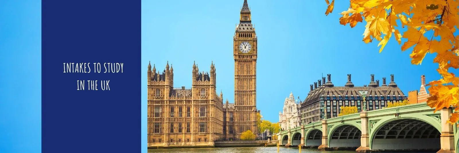 Which are the upcoming UK intakes in 2024?