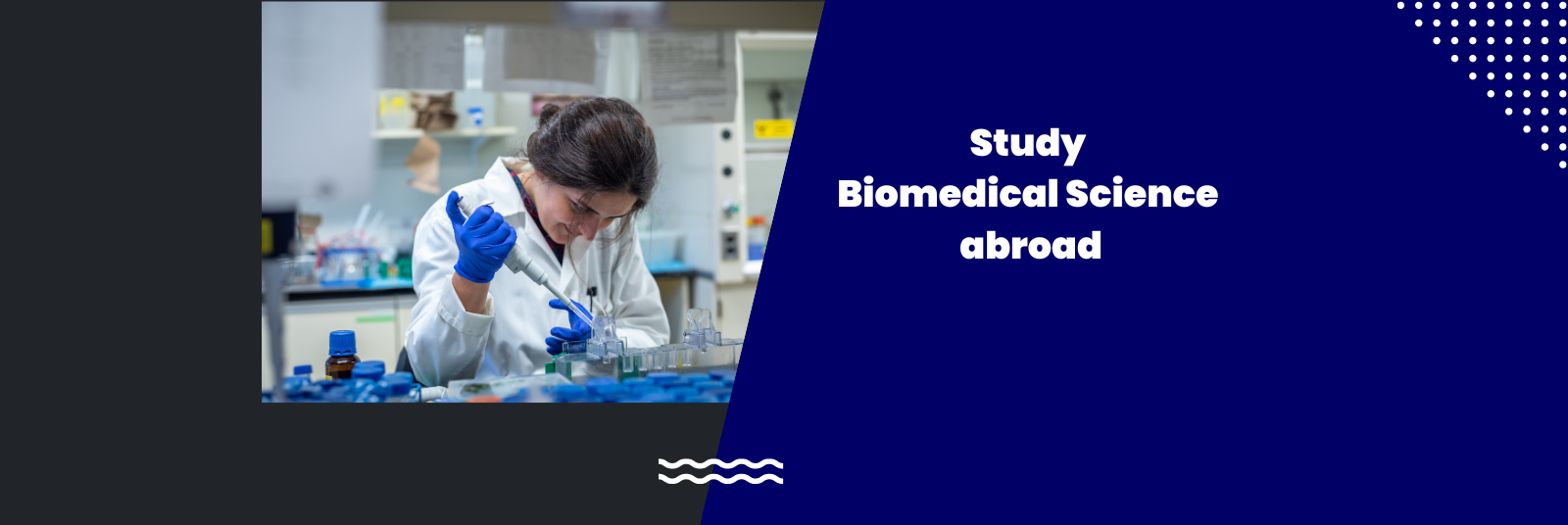 Study Biomedical Science Courses Abroad: courses, careers