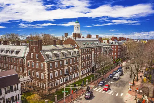 Quadra Da Faculdade De Medicina De Harvard Galeria De Notícias