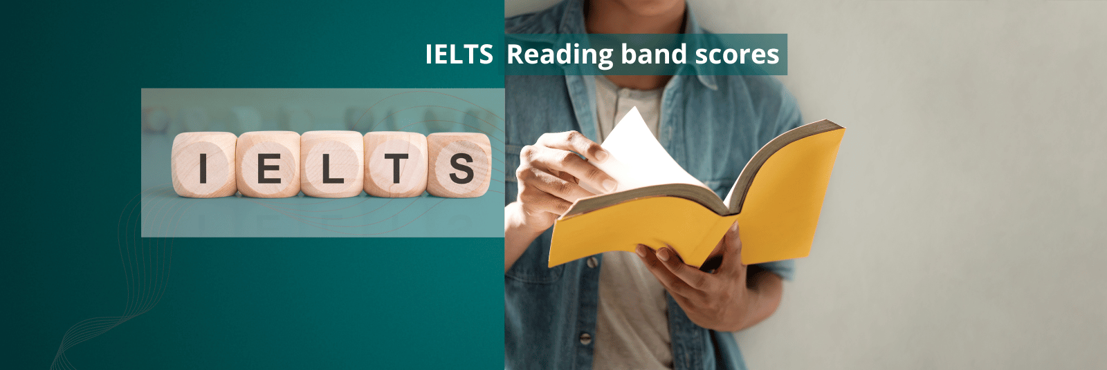 IELTS Reading Band Score | Band score chart and description