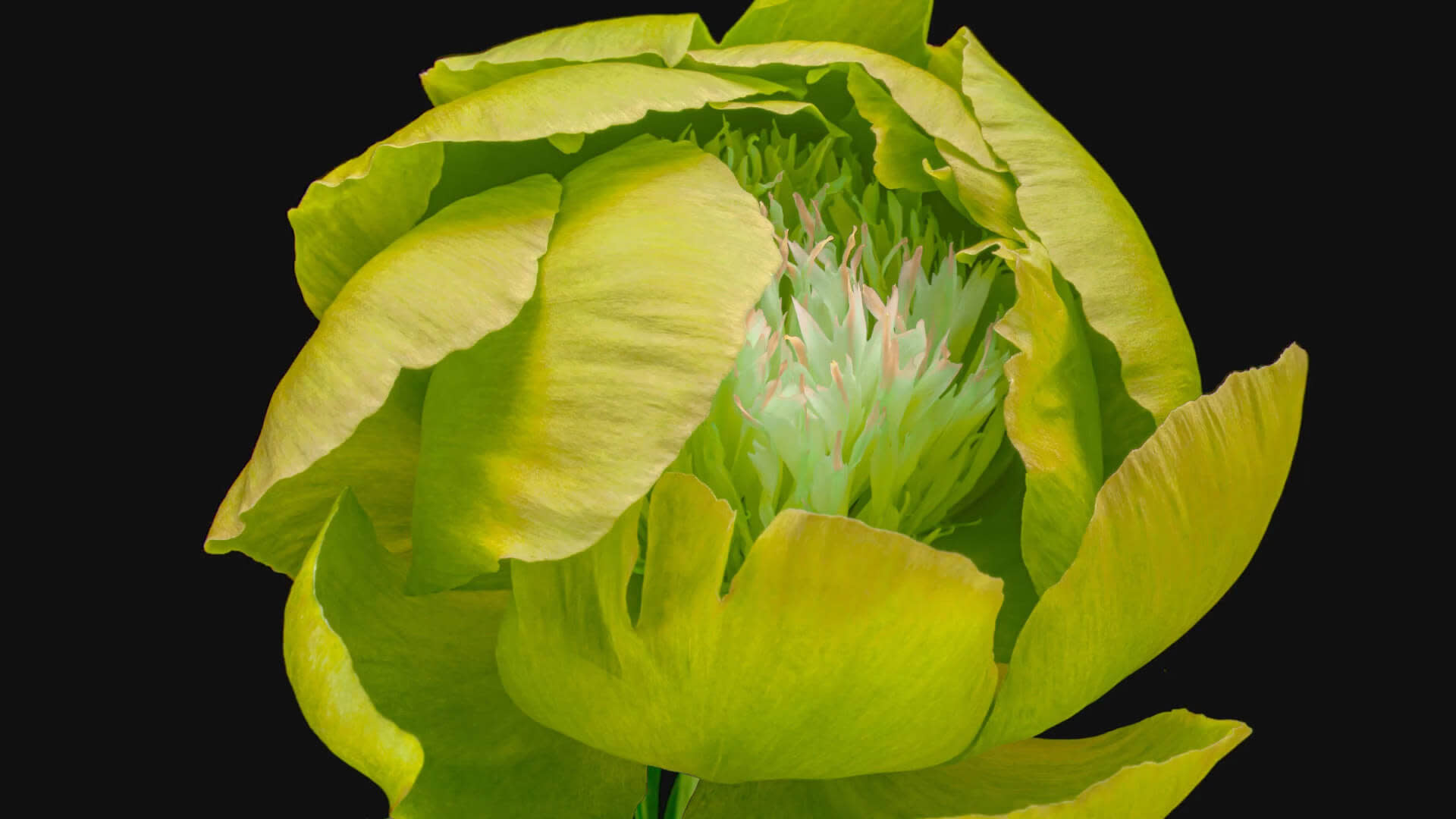 GDIT - Art of the possible.