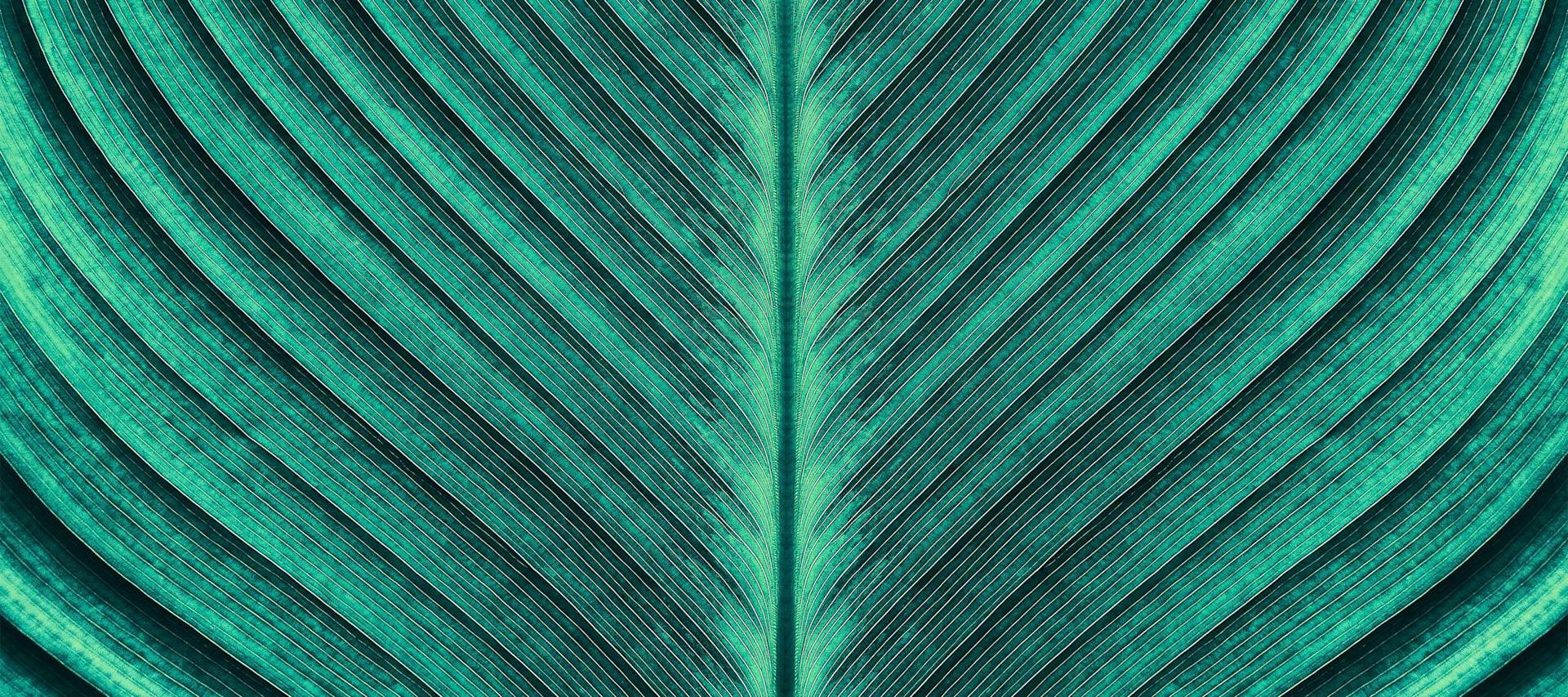 Accelerating the Digital Supply Chain With Innovative Procurement ...