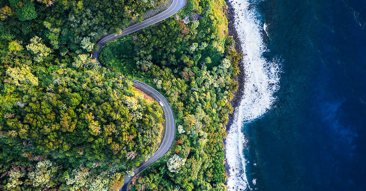 Emerging Technology Implementation: Turning Roadblocks into Speedbumps ...