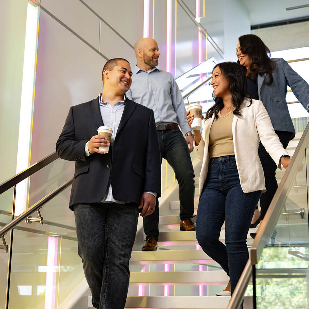 Impact the security of our nation providing IT and information ...