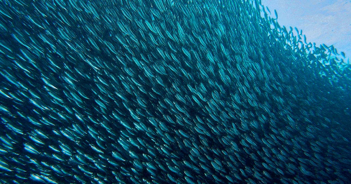 GDIT Digital Accelerators