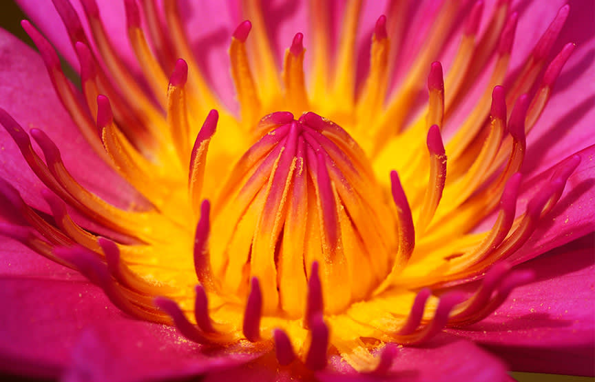 Artificial Intelligence | GDIT