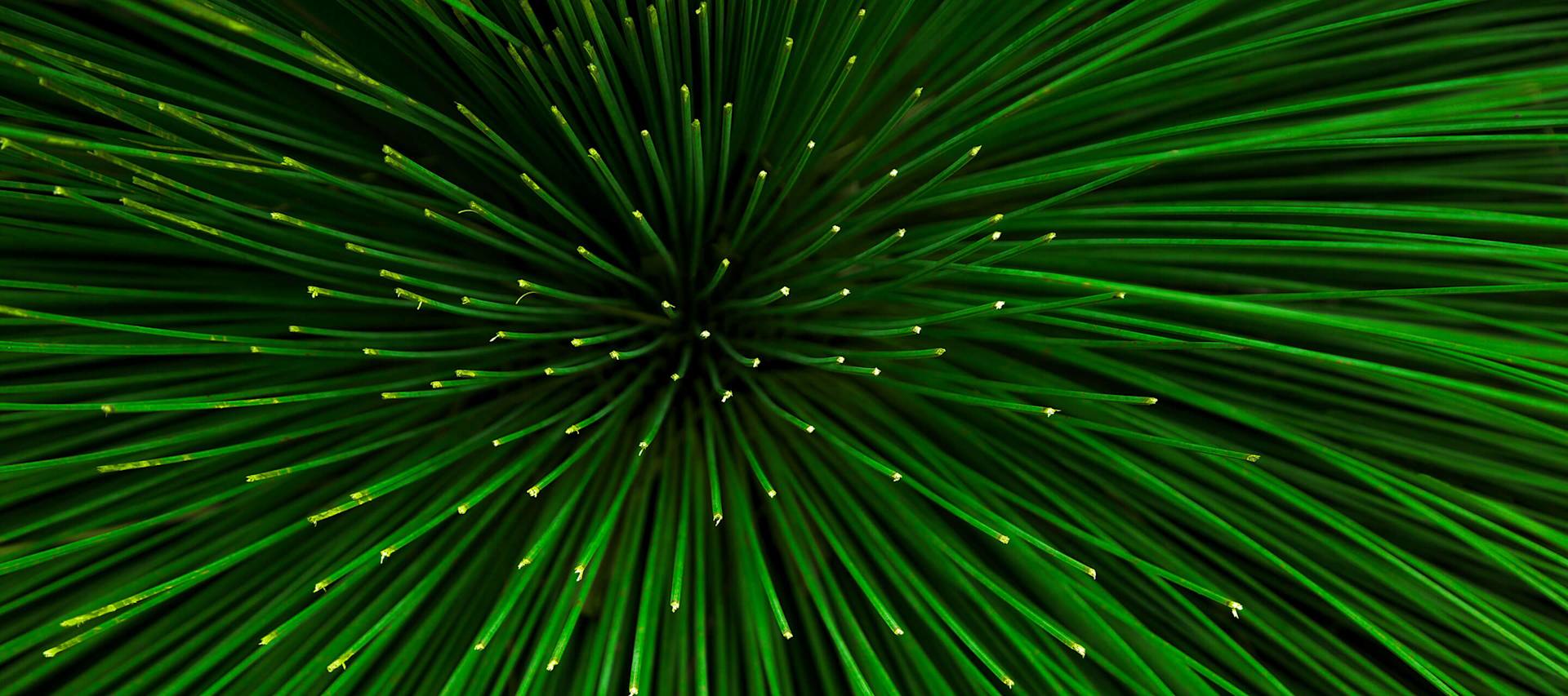 Four Ways to Use AI Chat Models in Unclassified, Open Source Analysis ...