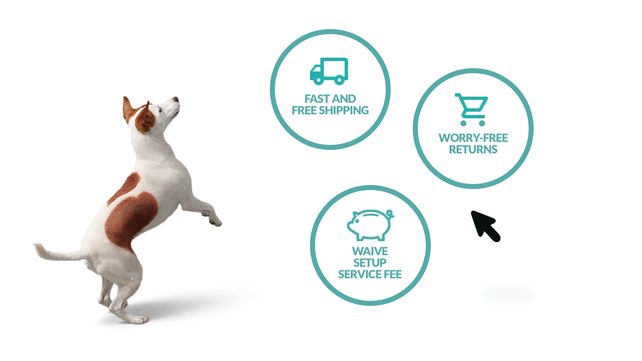 Black Friday Phone Deals – iPhone, LG Velvet 5G, Phone Plans | Fido