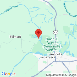 RV Rentals near Belmont Park in Livingston, Alabama