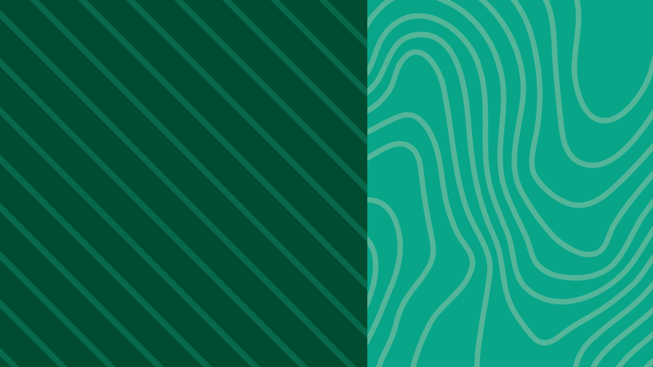 Use the U.S. Web Design System and focus on bigger challenges | Nava