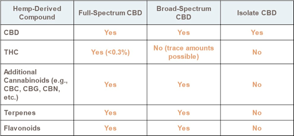 What To Know About CBD Gummies | Discover Feals Blog