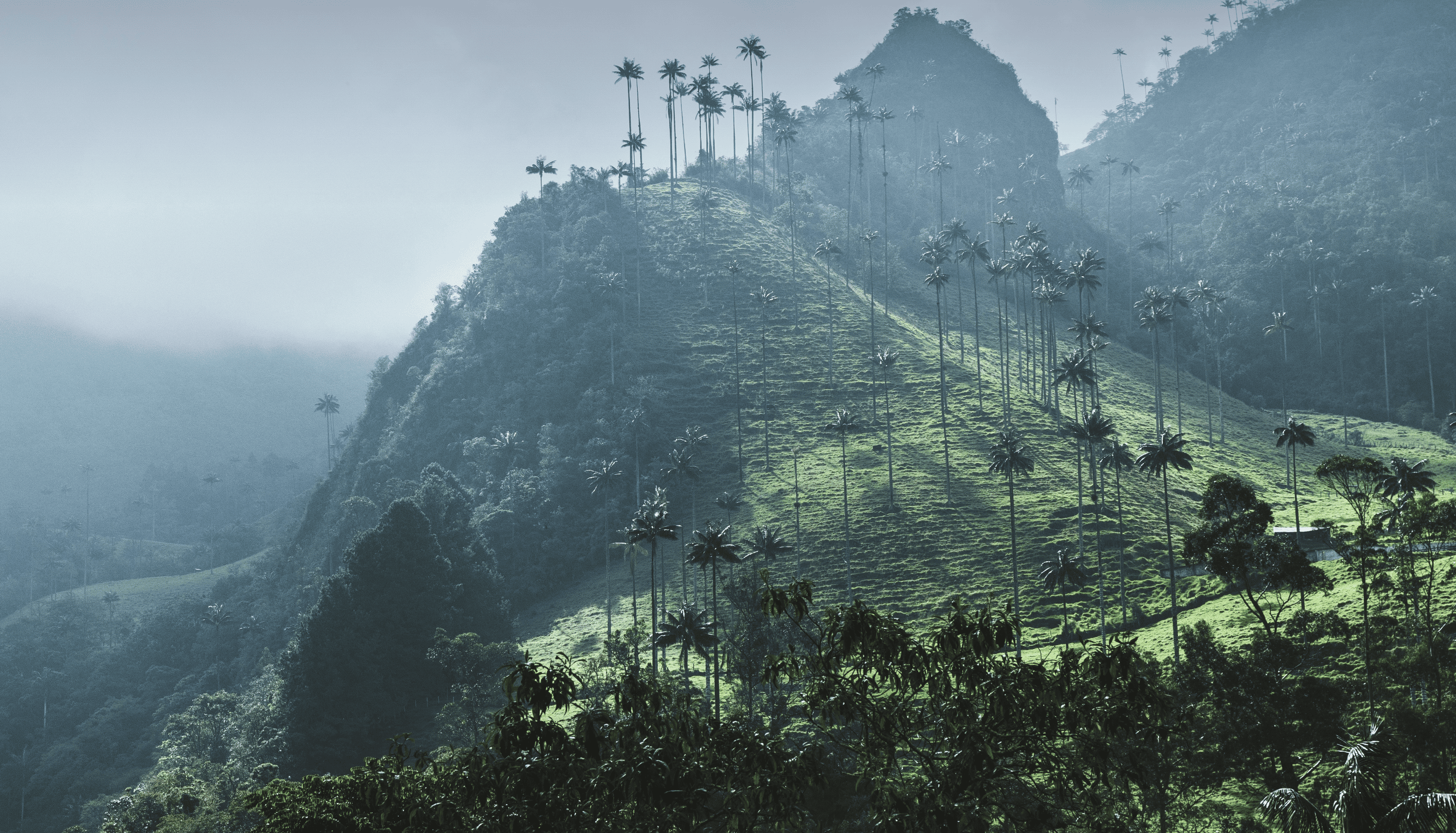 Colombia’s Fiscal Straitjacket, Inflation Pressures, and the 2026 ...