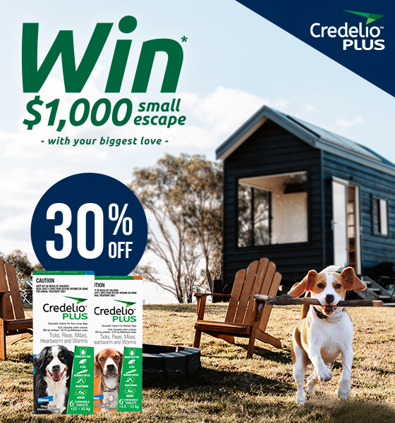 Petstock | Shop Pet Food & Supplies | 15 Min Click & Collect