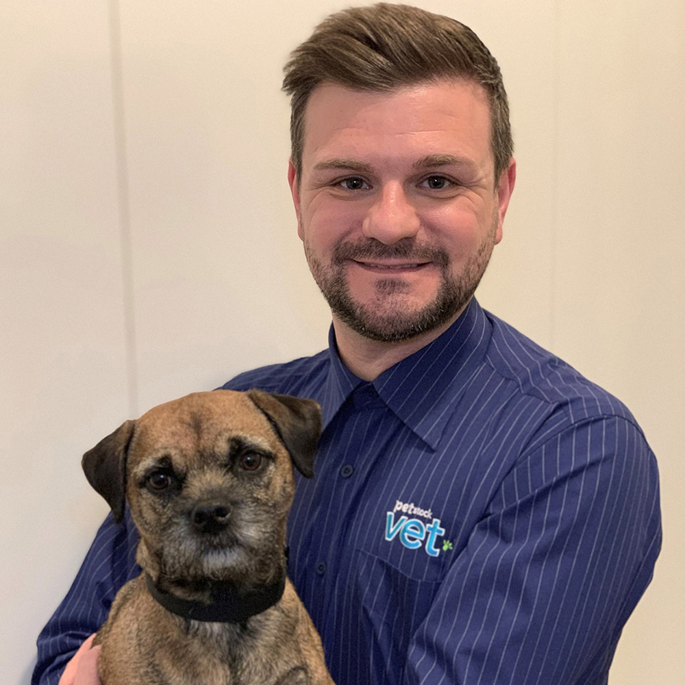 About PETstock Vet | PETstock | Petstock