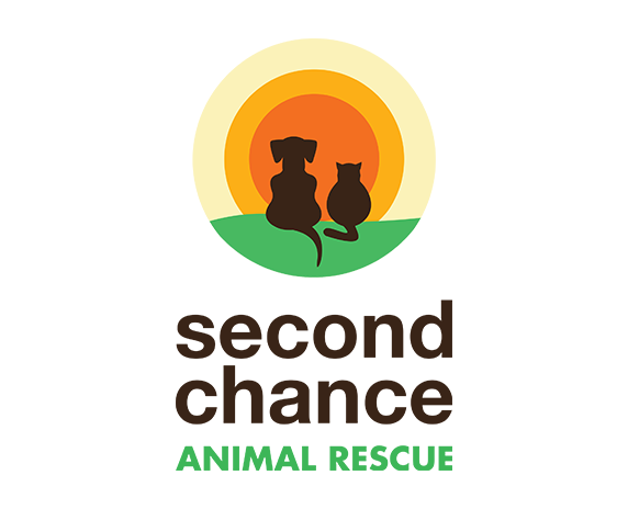 Foundation Partners | Petstock | Petstock