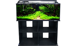 Aquarium Supplies & Products - Shop Fish Products| PETstock | Petstock