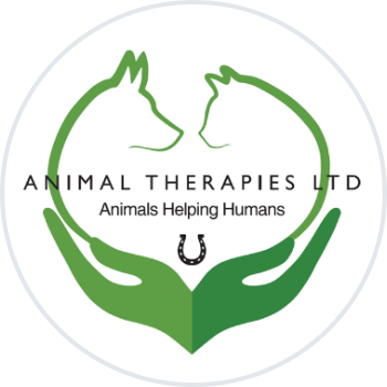 Big Hearts Project | Petstock