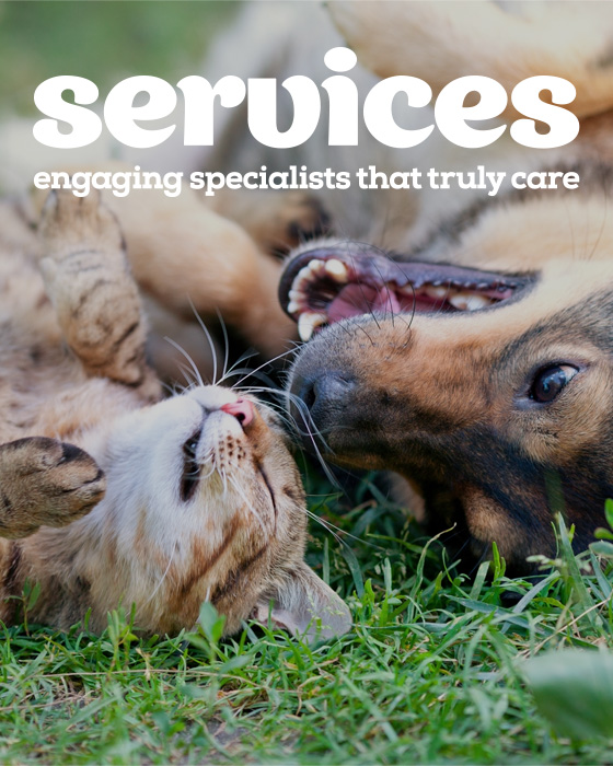 Pet Services | Petstock