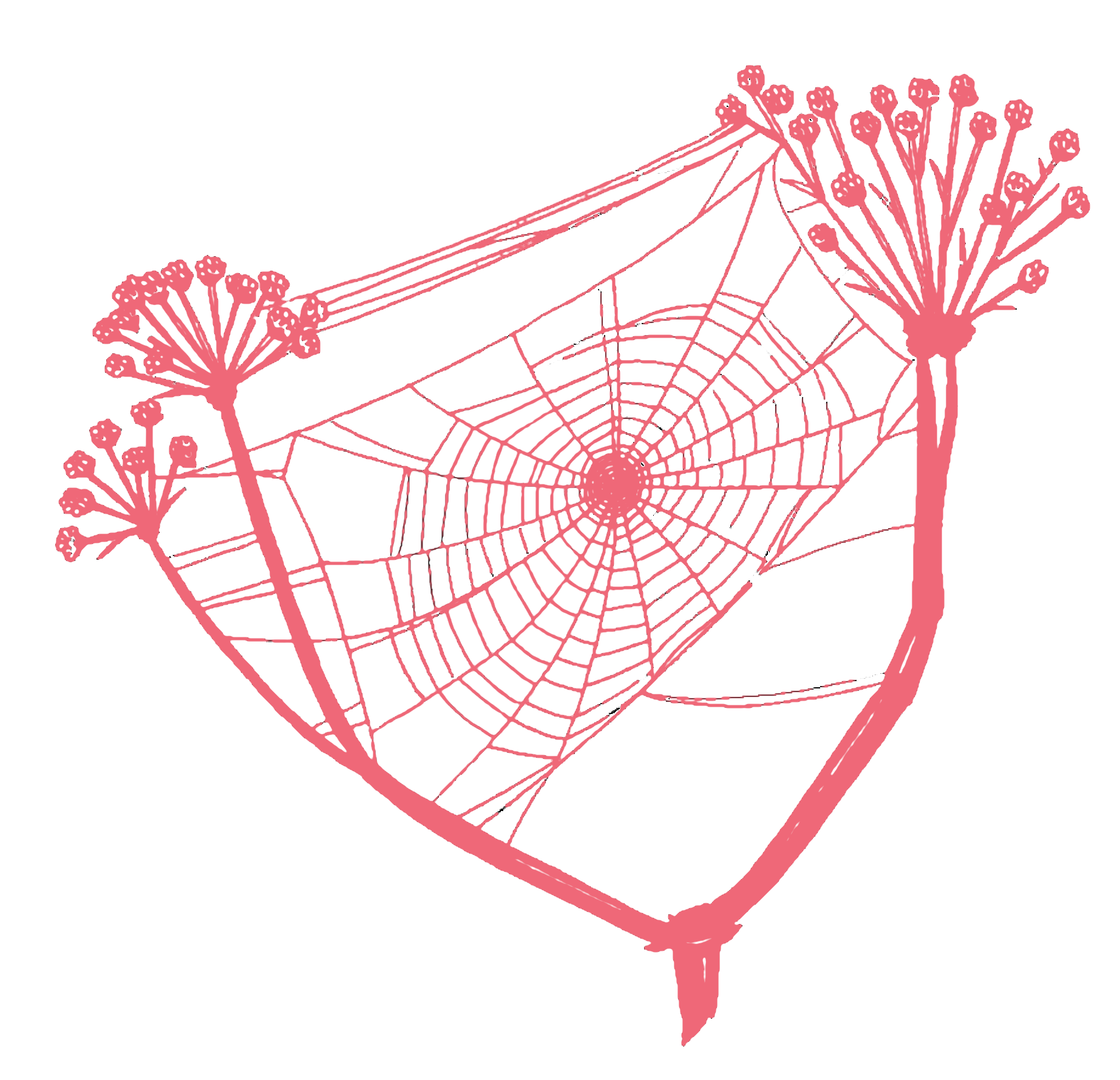 Points of Unity - Emerge