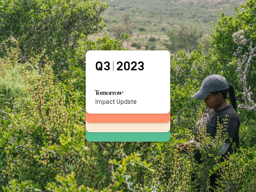 The Tomorrow Impact Update | Q3 | 2023